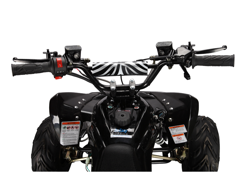 GMX The Beast 110cc Quad – Black | Power & Performance